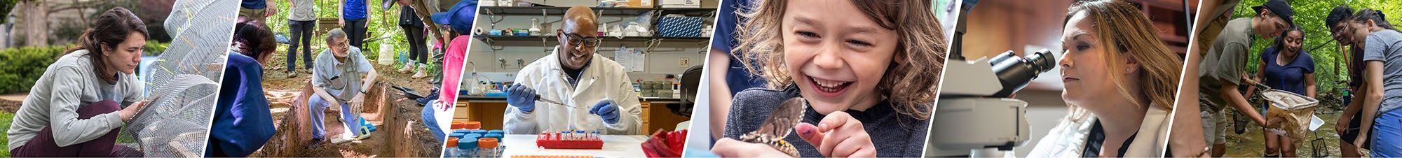 UNC Research Colors - UNC Research